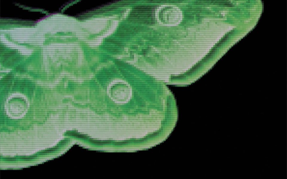 MOTH & SONS: sign of the times | San Diego Troubadour